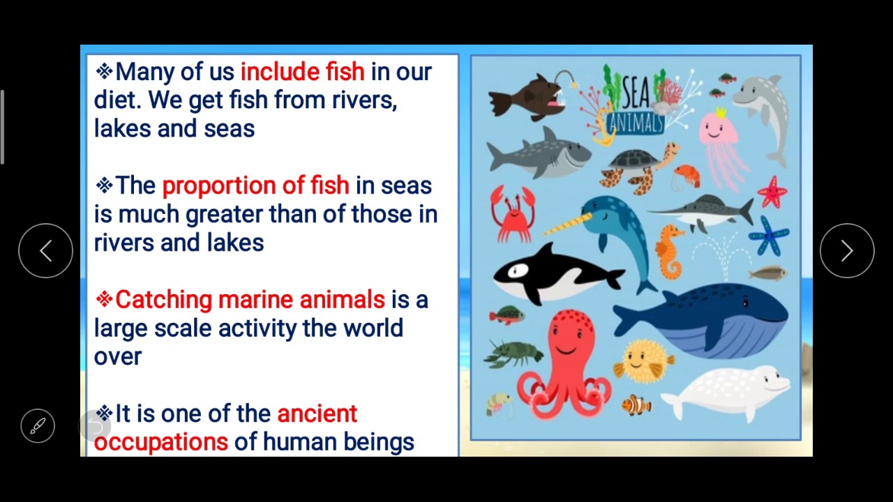 Class 6 | Geography |6.Importance of Ocean - YouTube