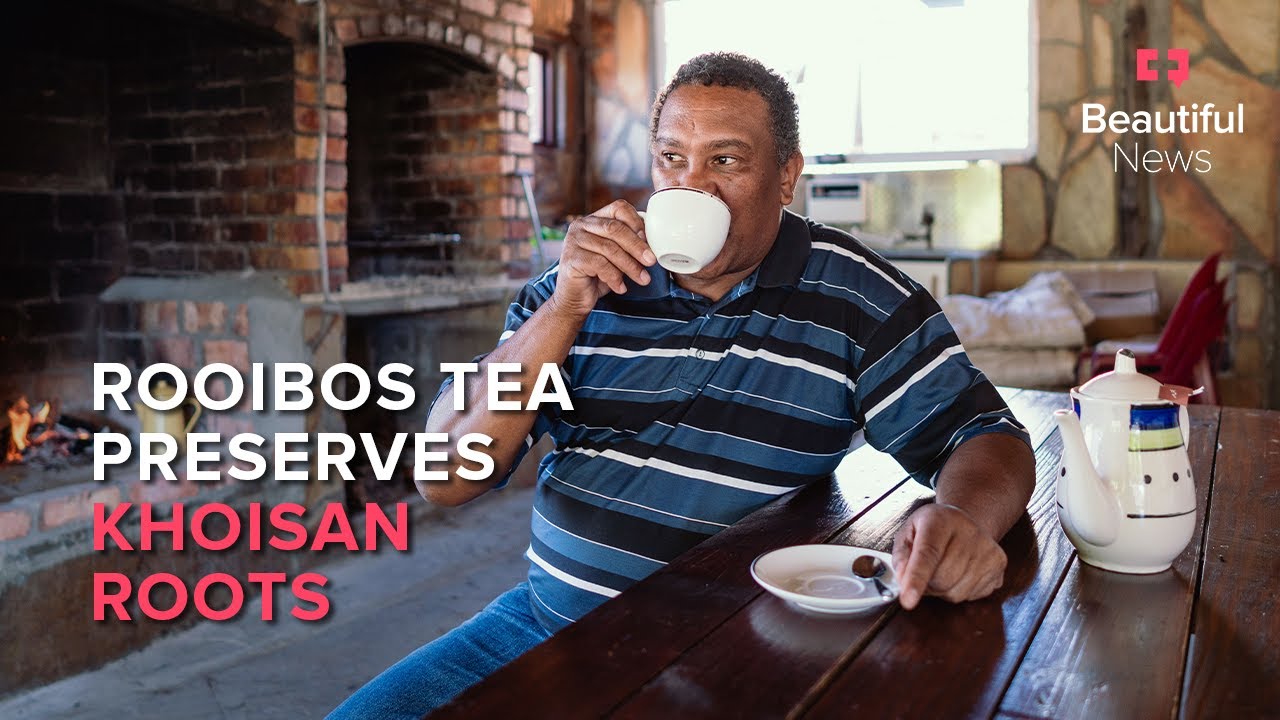 He’s upholding traditional Khoisan knowledge in a cup of rooibos tea ...