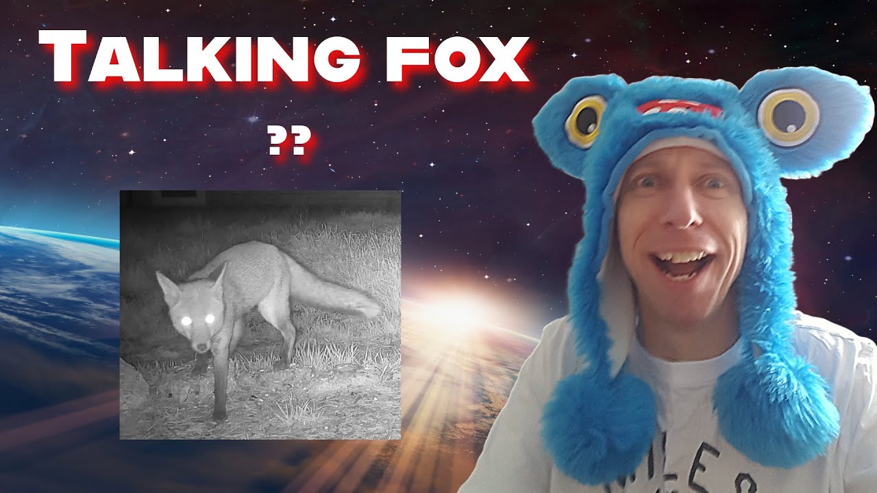 Fox Talking ! - YouTube