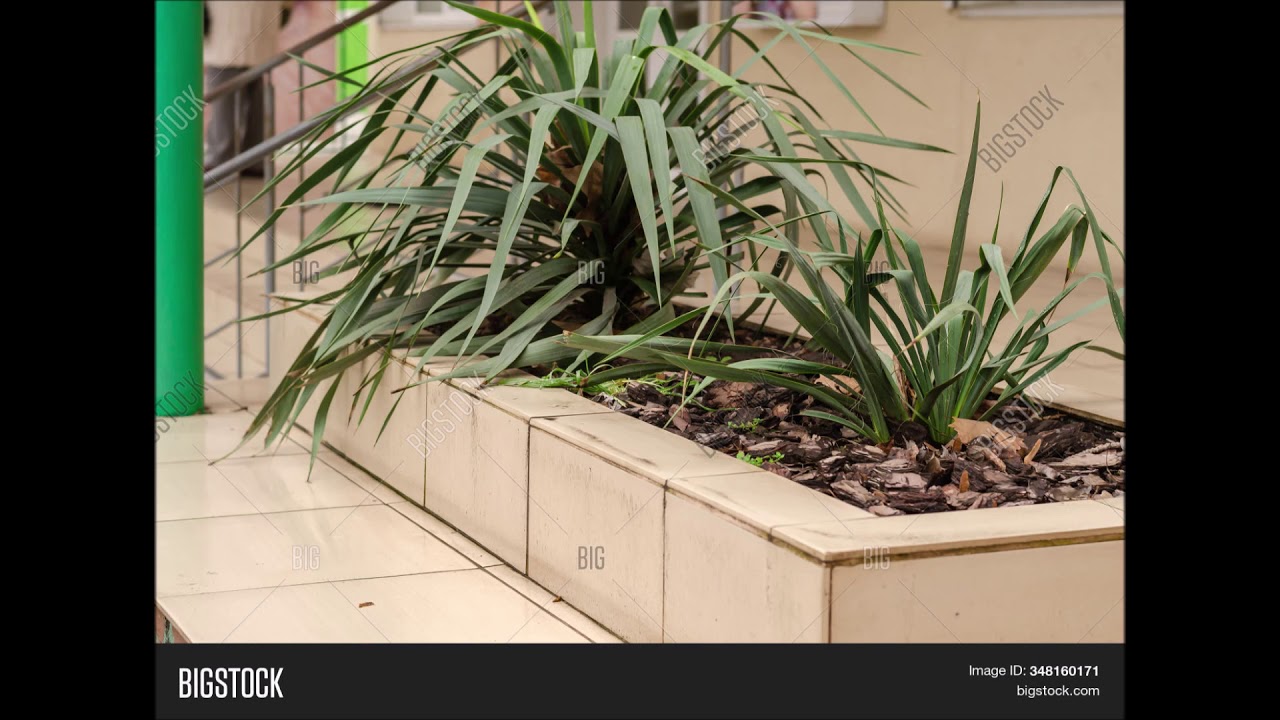 Level Of Yuka - Instrumental (Creator Yuka) - YouTube