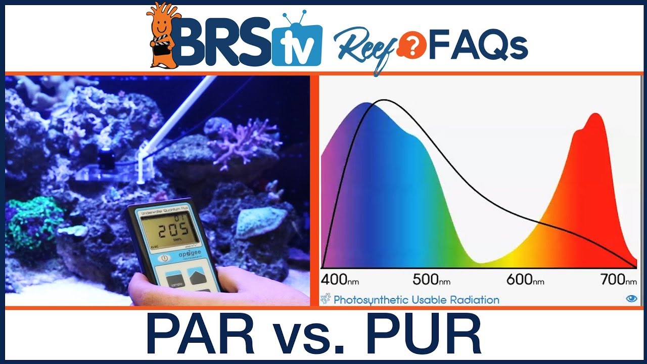 PUR vs PAR? What is more important when setting up your LED reef tank ...