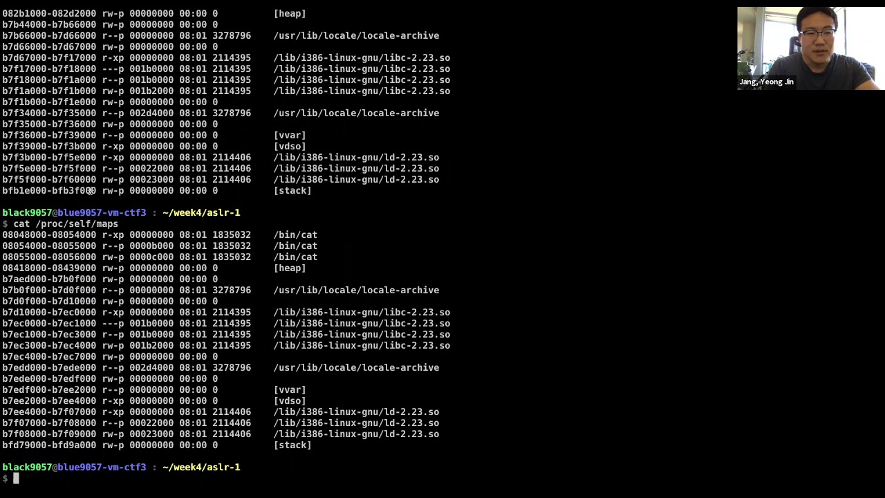 Tutorial - aslr-1, aslr-2, and aslr-4, and some hints for aslr-3, aslr ...