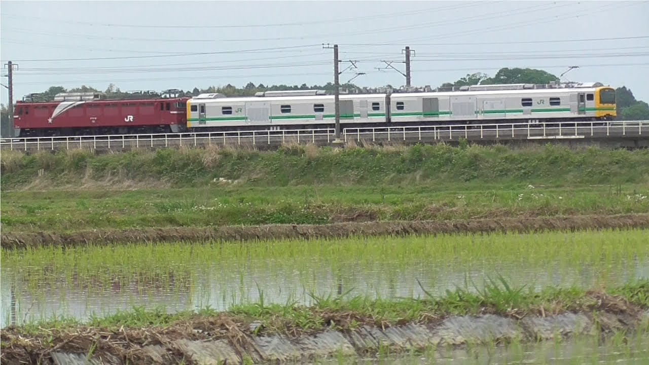 E493系+EF81 98 - YouTube