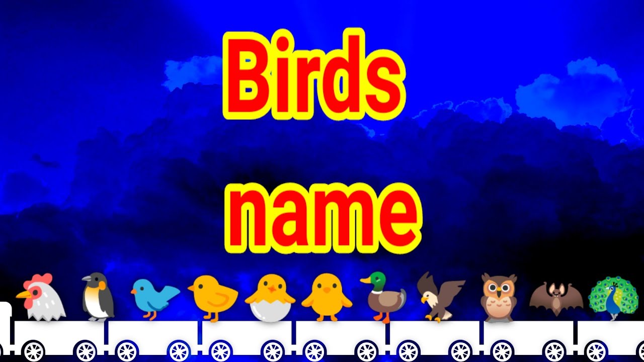 10 Bird's name for nursery with picture,/ Spelling of bird, cuckoo ...