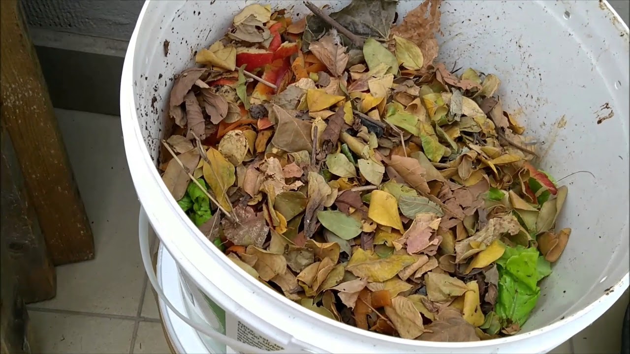 Composteira orgânica-como utilizar o composto para adubar suas plantas ...