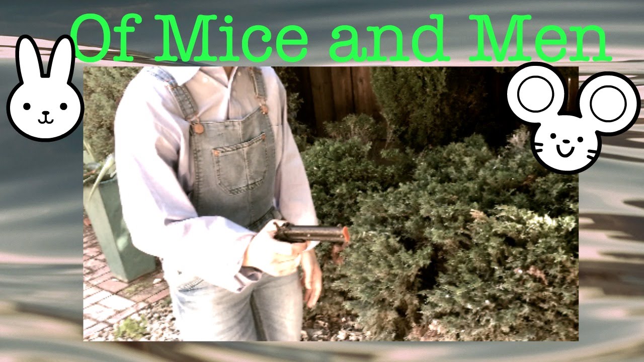 Of Mice and Men chapter 5&6 Summary!!!!!! - YouTube