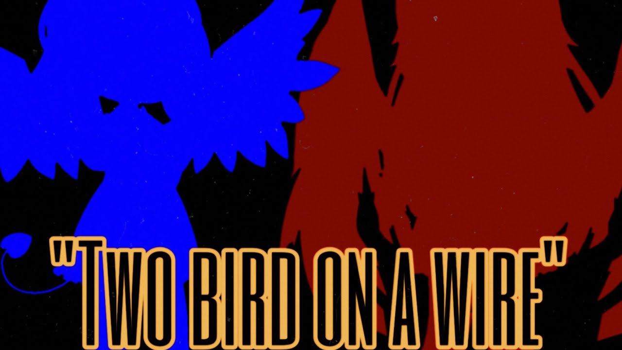 "Two birds on a wire" ( Meme ) 𝐑𝑒𝑖𝐧☔︎ - YouTube