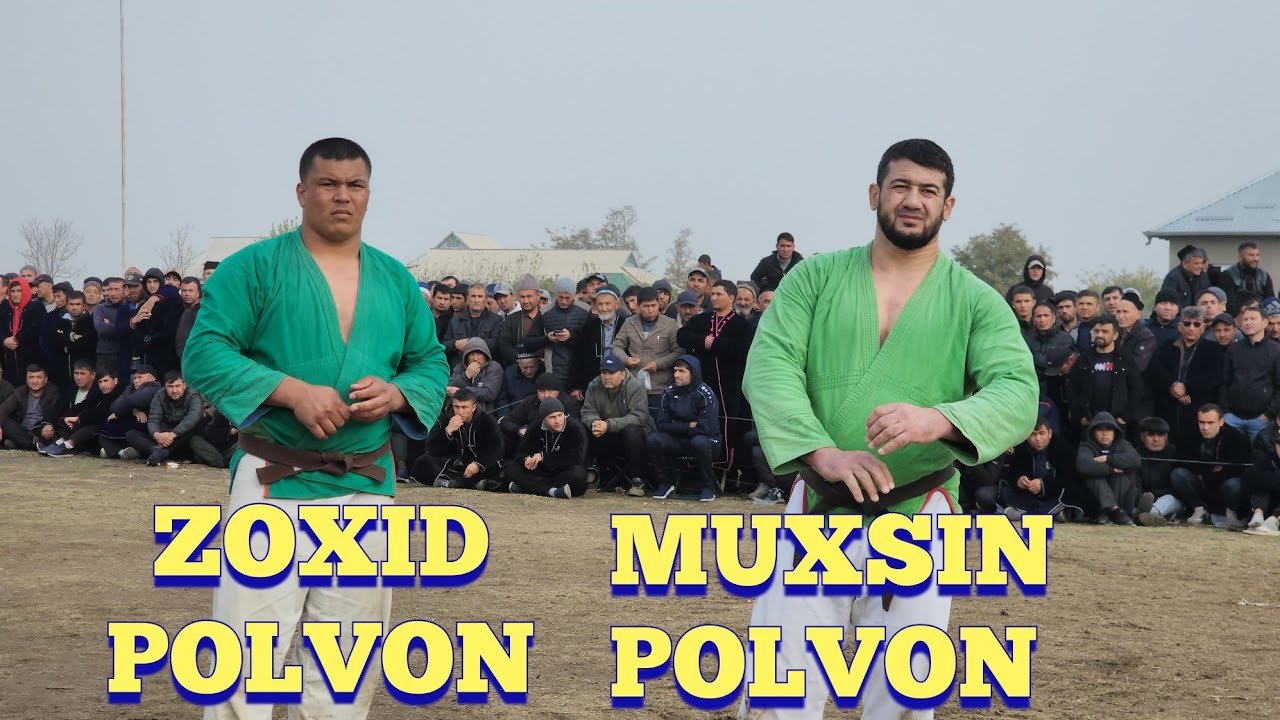 Zoxid polvon Muxsin polvon Bugun Sariosiyoda katta kurash tavoqlar boshlandi 7.11.2024 - YouTube