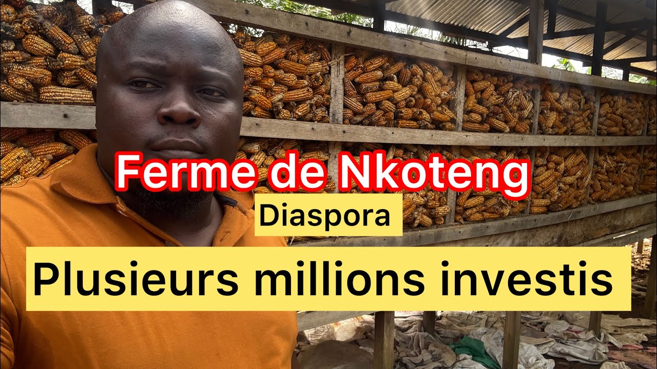 Visite à la ferme de Nkoteng (act 2 )Accompagnement sur le terrain ...