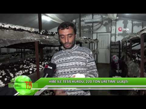 Hibe ile tesis kurdu, 220 ton üretime ulaştı