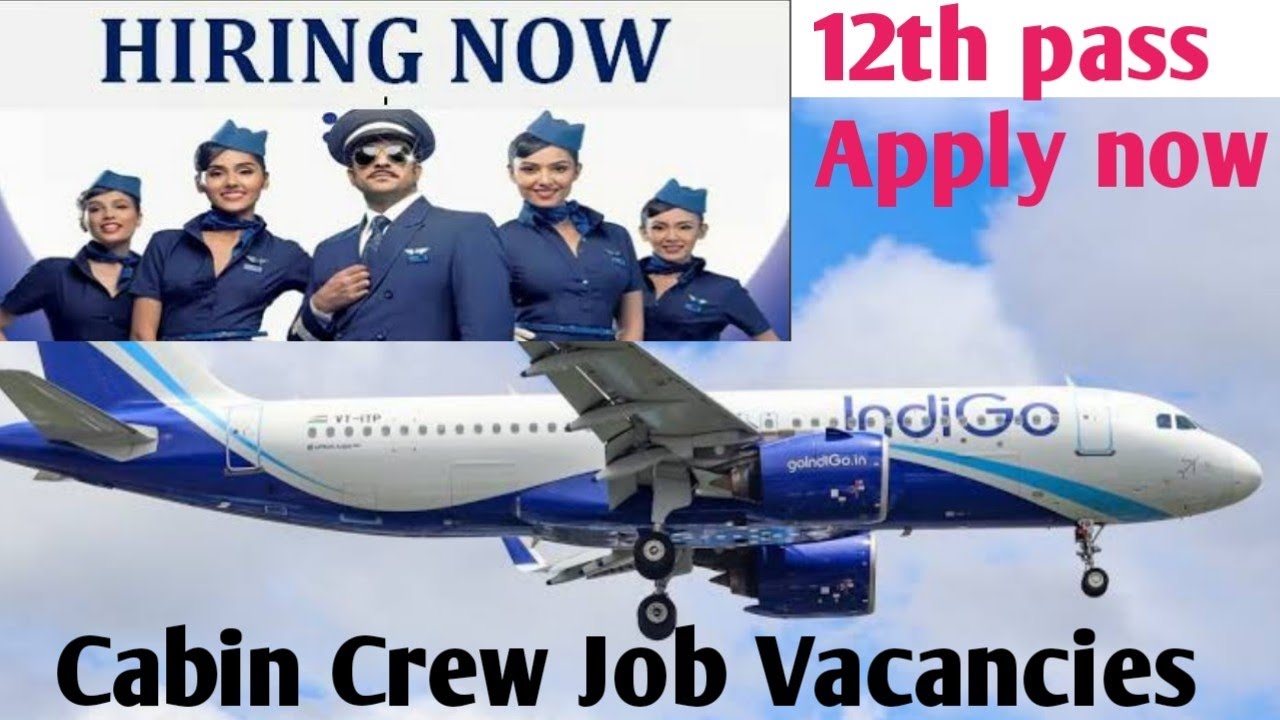 Indigo Airlines Cabin Crew job Vacancies / for freshers 12th pass job ...