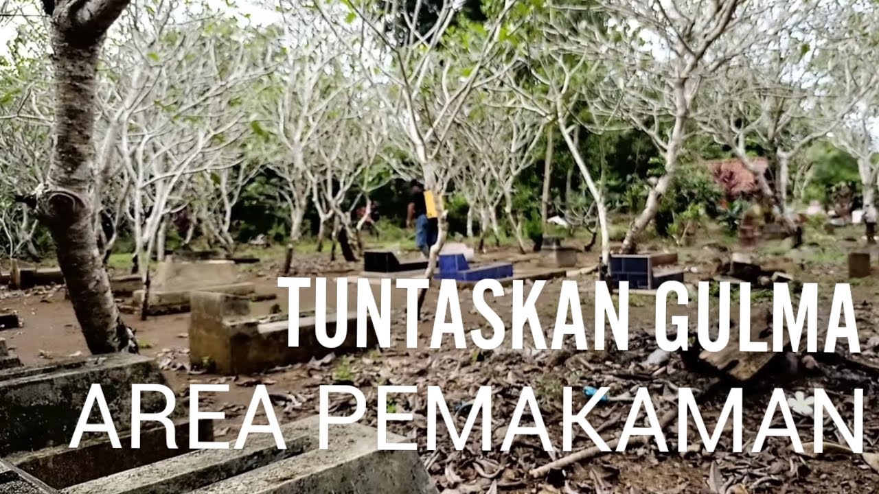 HERBISIDA TUNTAS : TUNTASKAN GULMA DAUN SEMPIT DAN DAUN LEBAR DI AREA ...