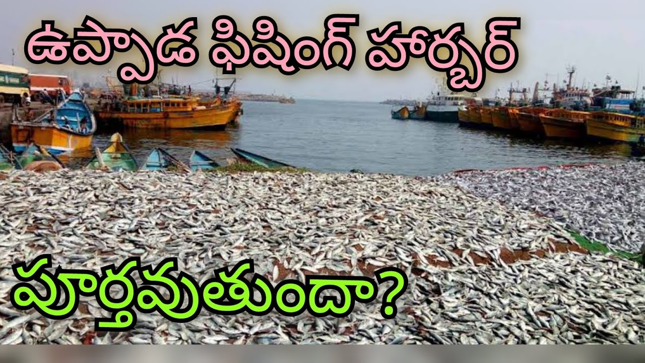 Uppada Fishing Harbour Works || Kakinada || East News 24 - YouTube