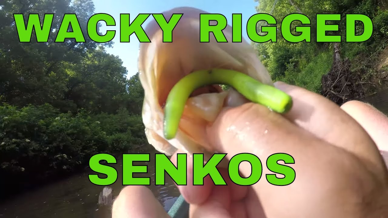 The Power of a Wacky Rig Senko in a Creek - YouTube