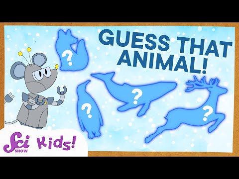 Guess That Animal: Winter Edition | SciShow Kids Compilation | Safe ...