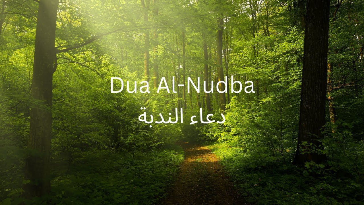 Dua Nudba - Murtada Qurish دعاء الندبة | مرتضى القريش - YouTube