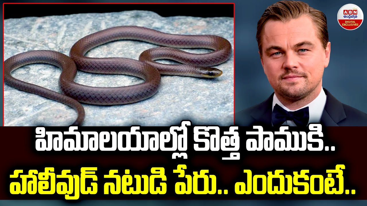 హిమాలయాల్లో కొత్త పాముకి హాలీవుడ్ నటుడి పేరు | New Snake Species Named ...