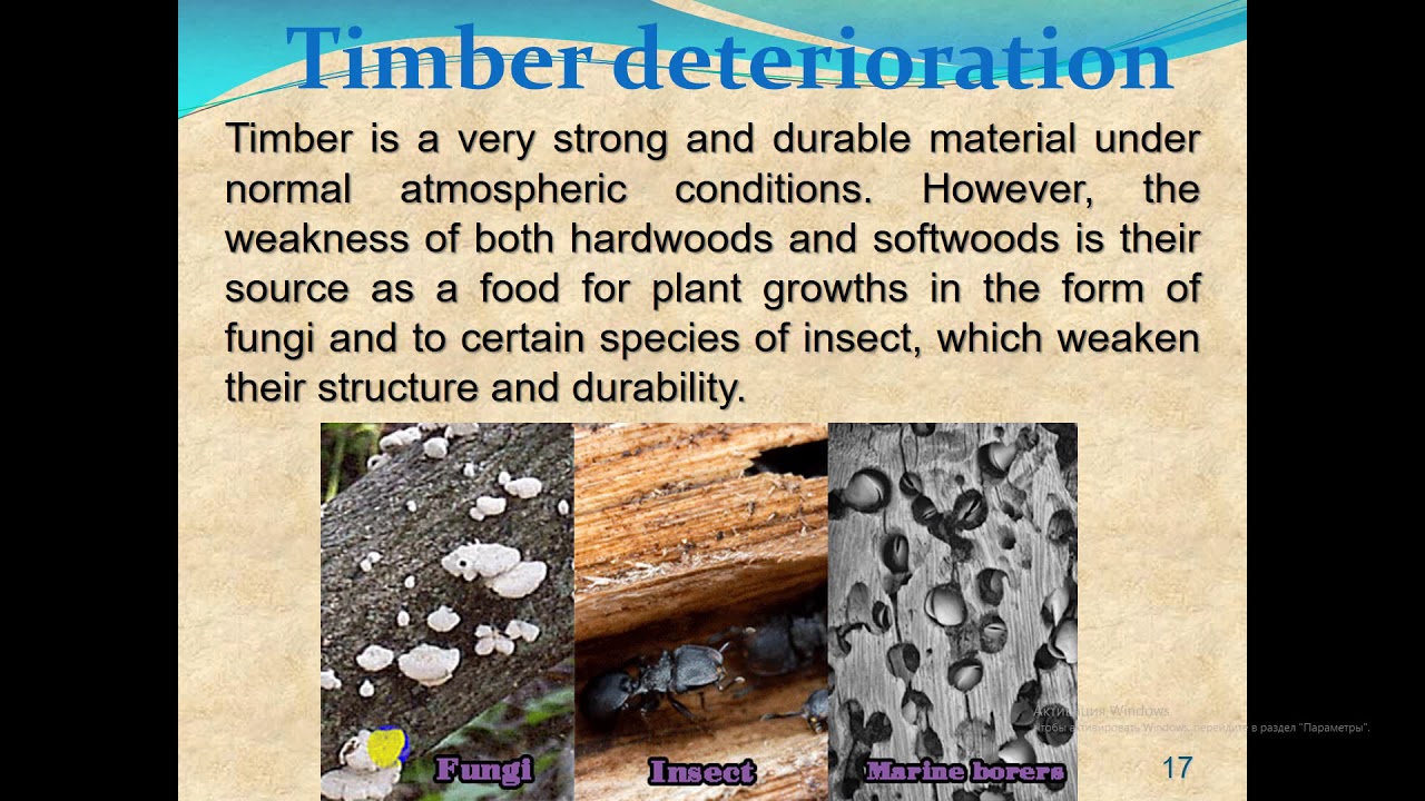 Organics: Timber _9.2 Material & Environmental Science - YouTube