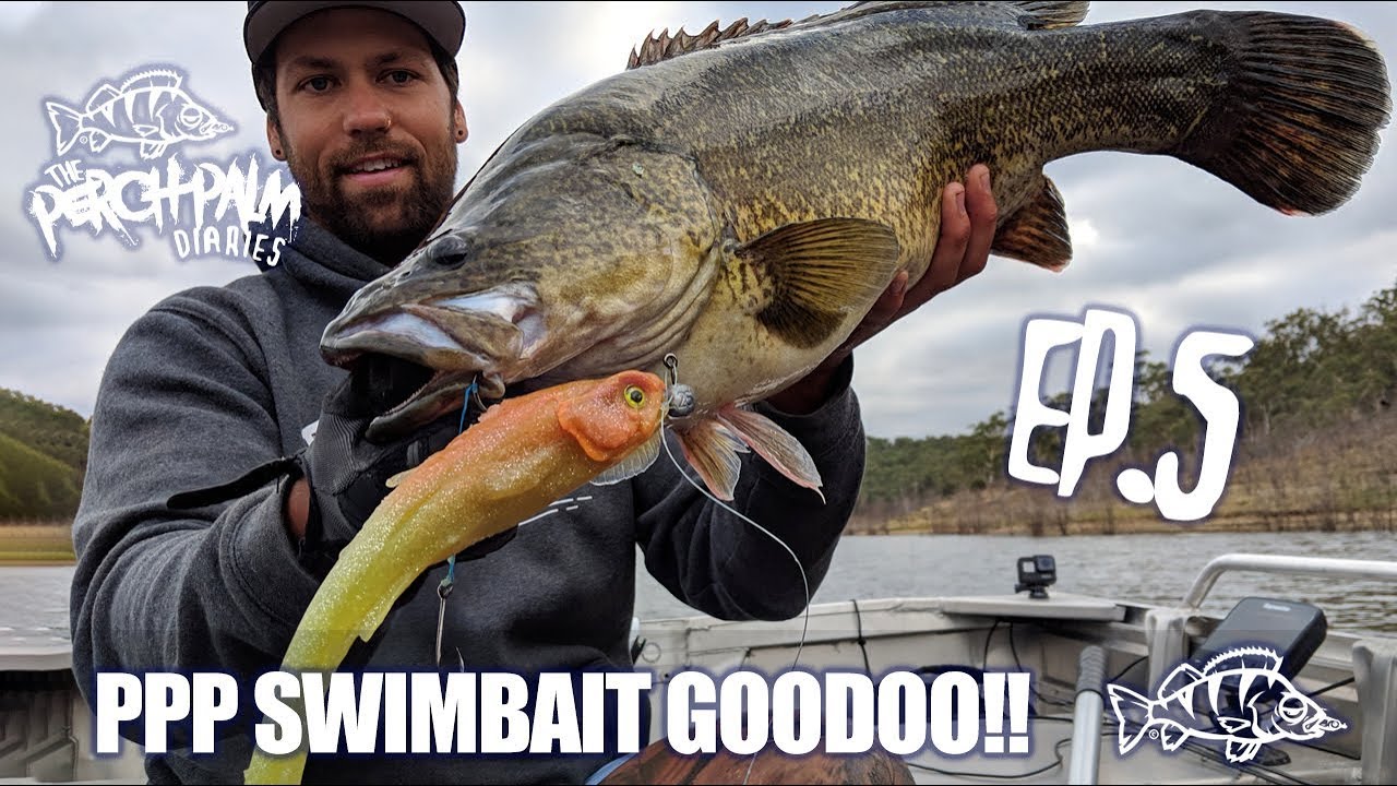 The Perch Palm Diaries - Episode five - MURRAY COD ON PPP SWIMBAITS ...