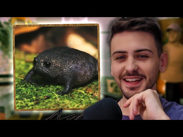 Star Française Joyca Youtubeur ⭐ Taille, âge, origine, wikipedia ...