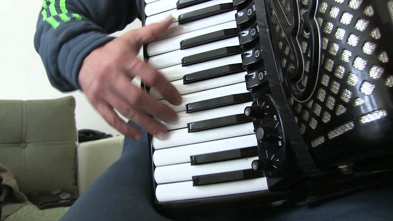 MAESTRO RISTE TUSEVSKI RIKI - DOMASNA ATMOSVERA VIRTUOSO ACCORDION ...