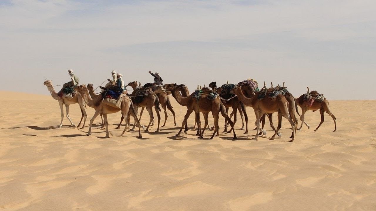 Chad- 9 Interesting Facts | Country Facts - YouTube