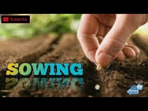 SOWING EXERCISE (CHAP 5) FINAL PART - 8 - CLASS 11TH - YouTube