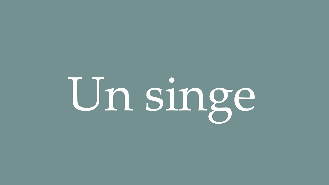 How to Pronounce ''Un singe'' (A monkey) Correctly in French - YouTube