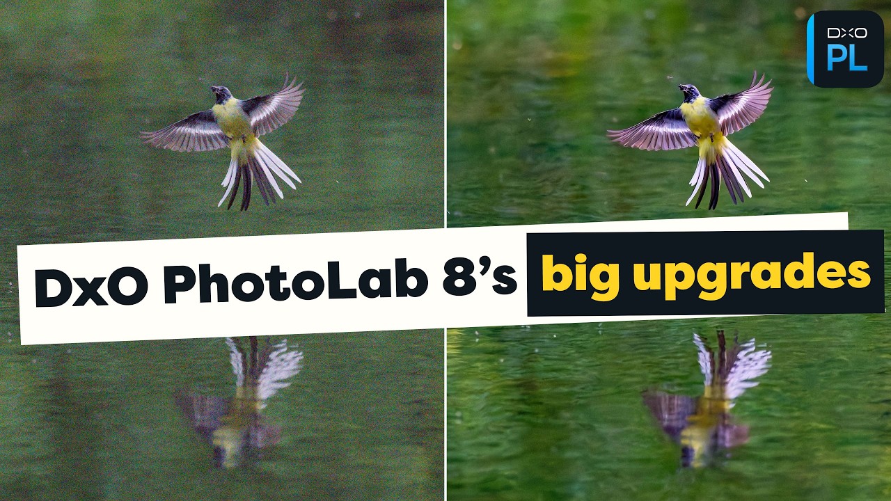 DxO PhotoLab 8 - Fantastic Noise Reduction, Lens Softness Correction ...