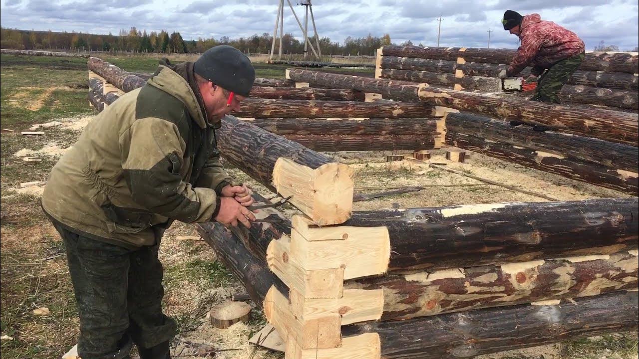 Сруб бани в лапу - YouTube