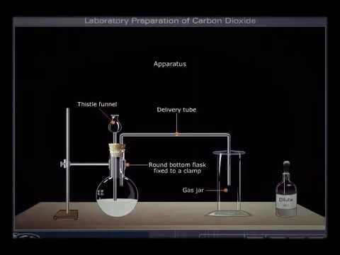 Laboratory. Preparation. of.Carbon.Dioxide.By.Gaurav.patel - YouTube