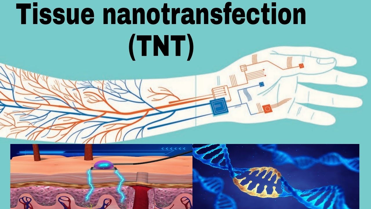 Tissue Nano Transfection || Nanochip reprogrammed body cells.|| - YouTube