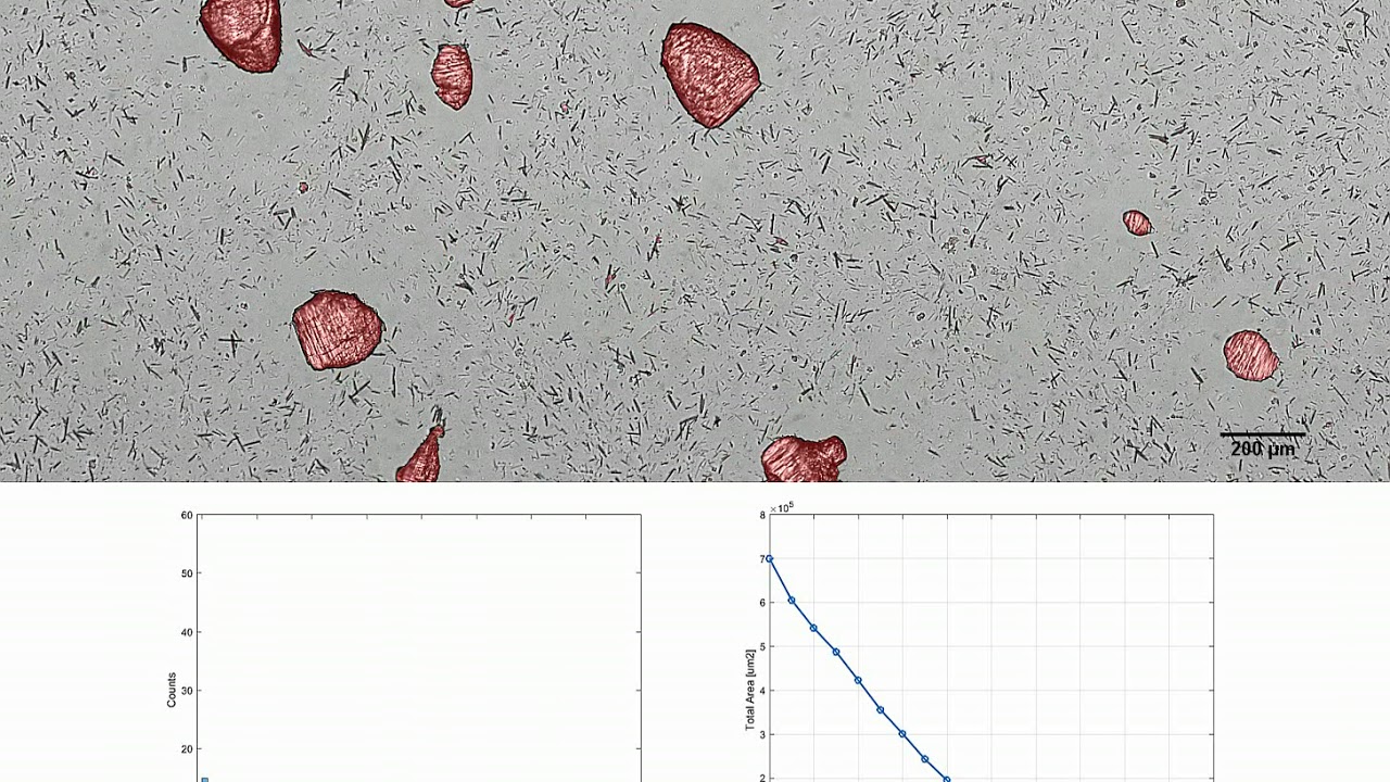 oCelloScope - Crystal dissolution and size analysis - YouTube