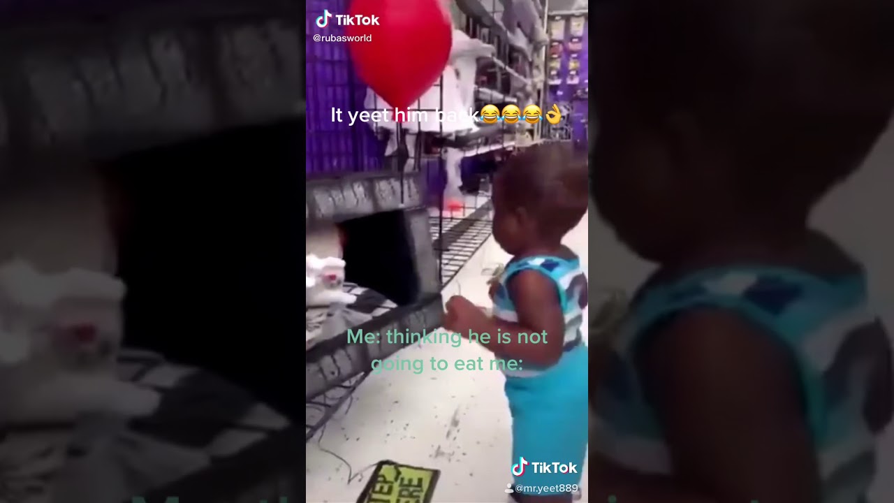 This mr.yeet on TikTok go follow me plz only 23 - YouTube