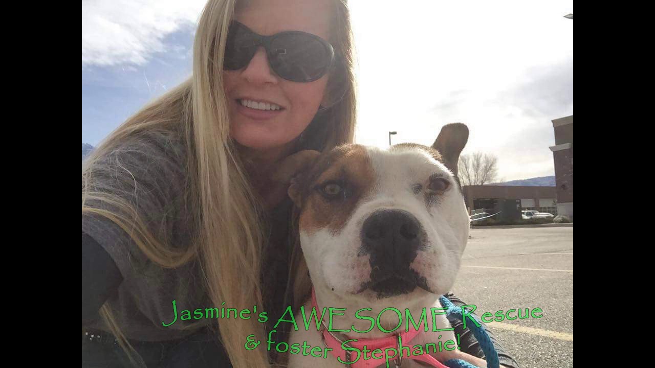 DC PAWS Year End 2016 - YouTube