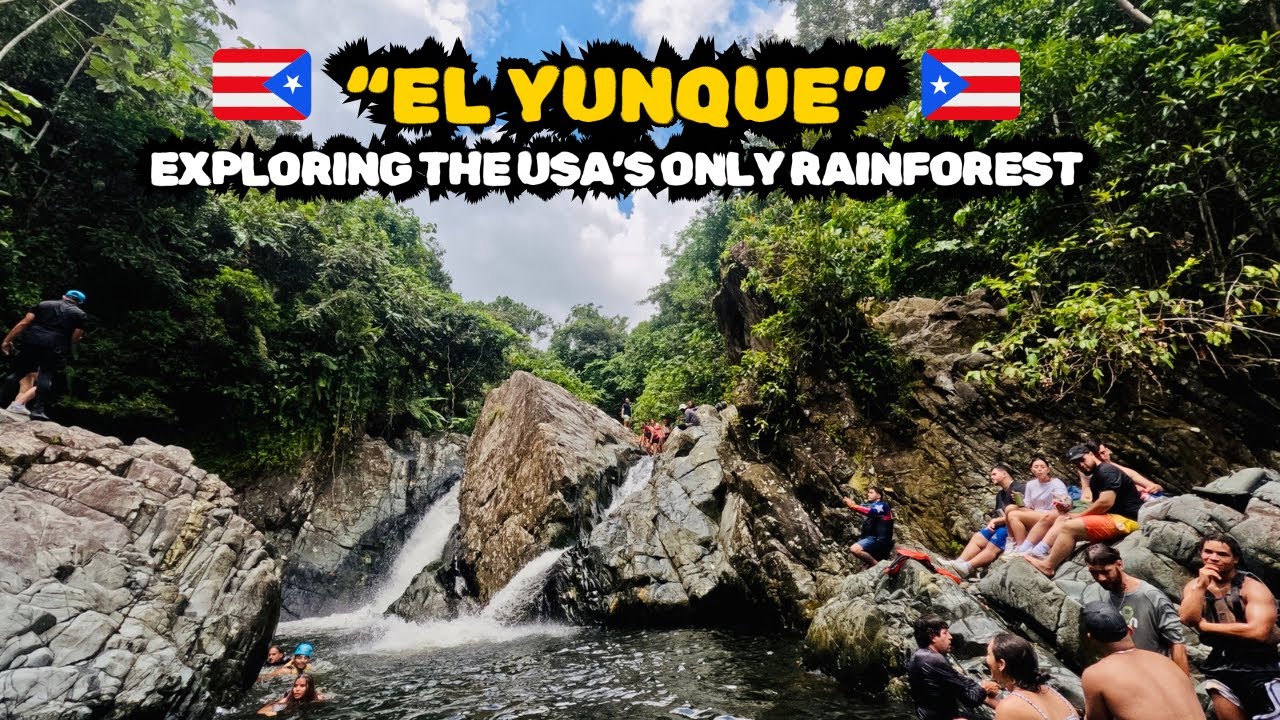 Epic El Yunque Rainforest Hike: Unforgettable Adventure in Puerto Rico ...