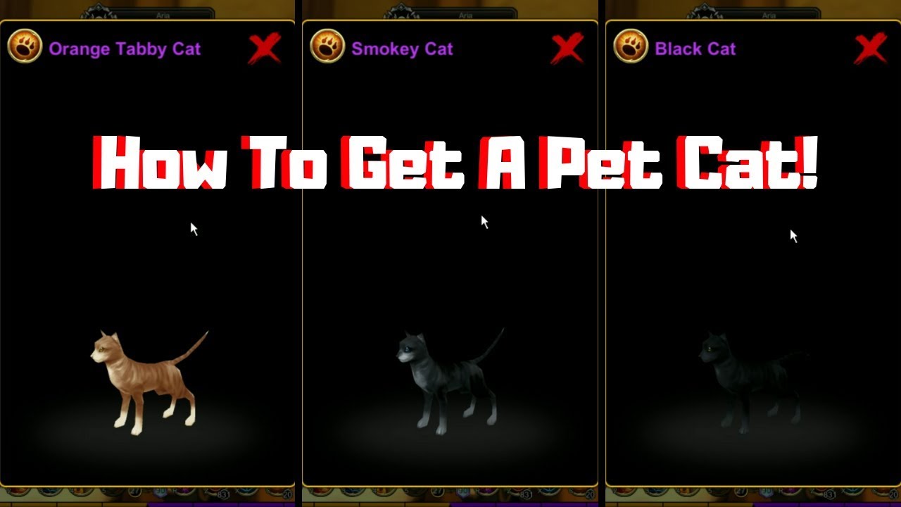AQ3D How To BEAT Feline Finery Quest! (Pet Cat) AdventureQuest 3D - YouTube