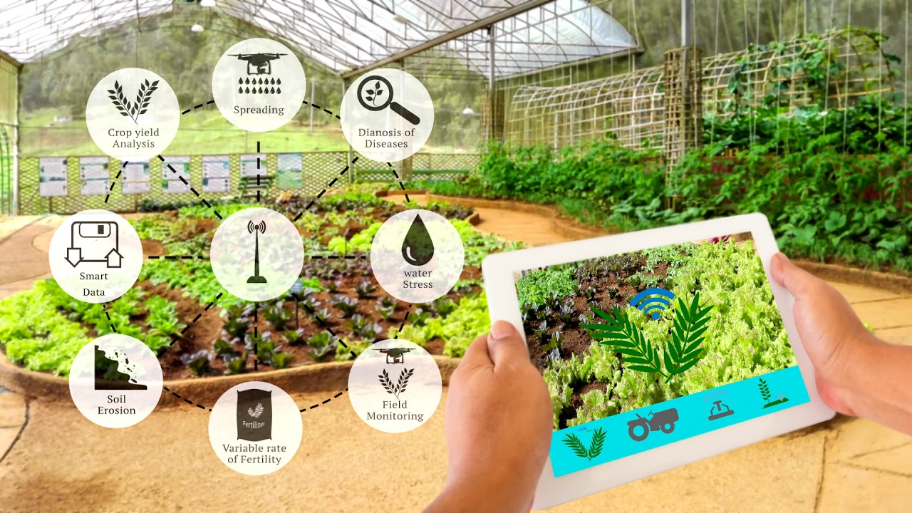BL Smart Farm - YouTube