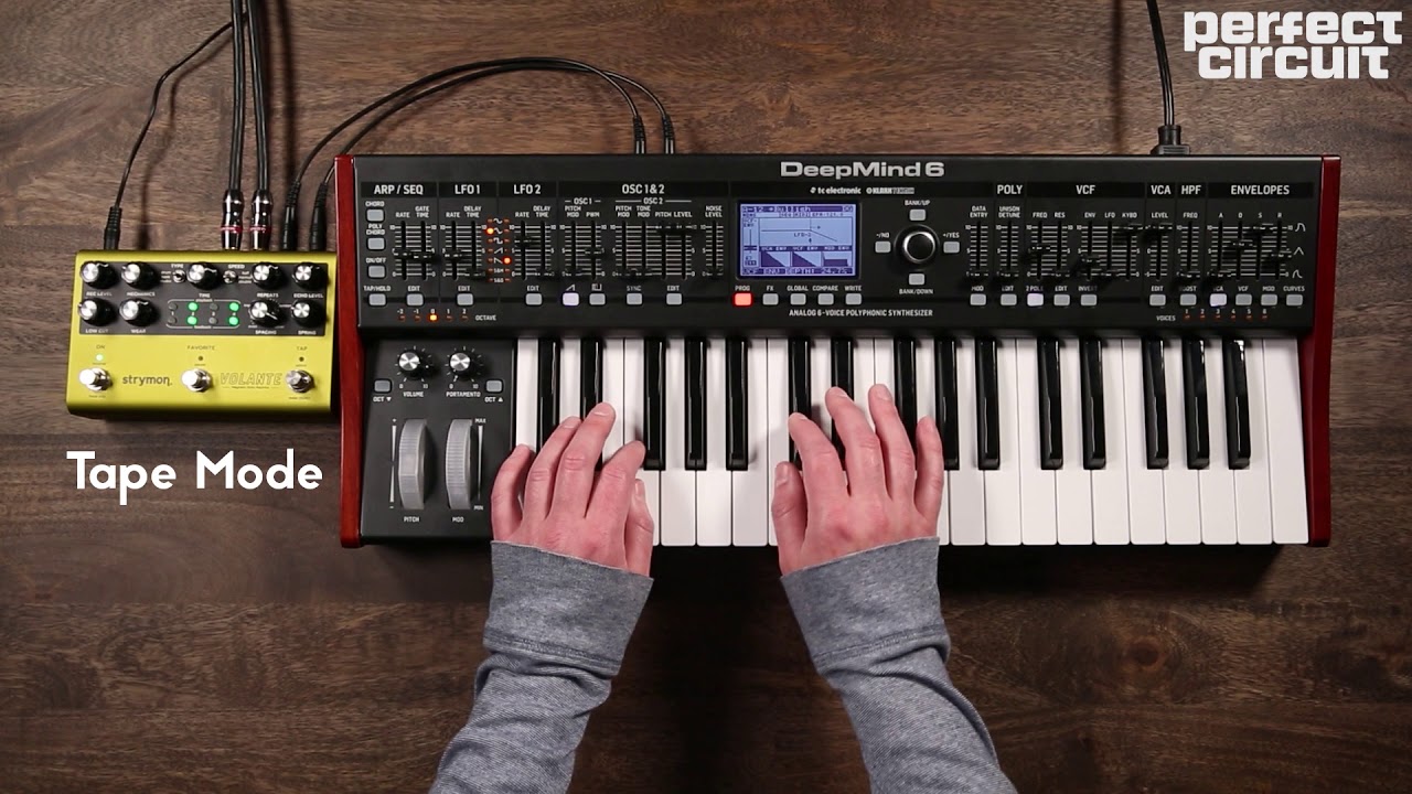 Strymon Volante Magnetic Drum & Tape Delay Pedal - YouTube