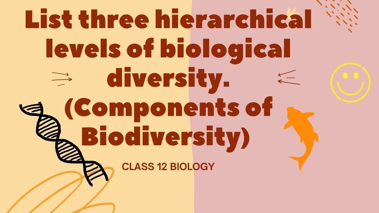 Name the three important components of biodiversity | Class 12 Biology ...