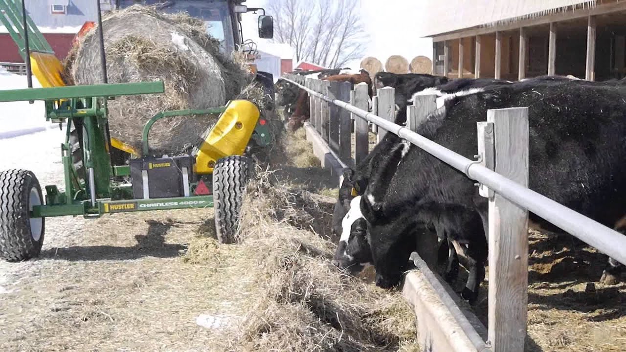 Hustler Chainless 4000 feedlot feeding - YouTube