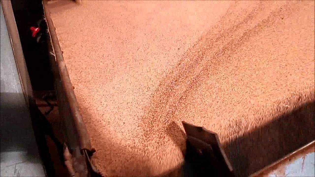 Seed Cleaning Teff Seed part 2 - YouTube