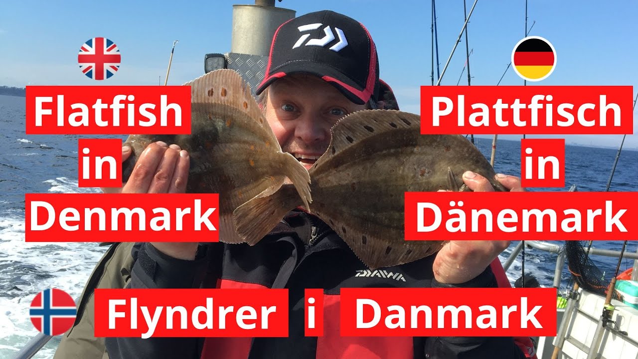 Flatfish fishing techniques in Denmark - Fishing