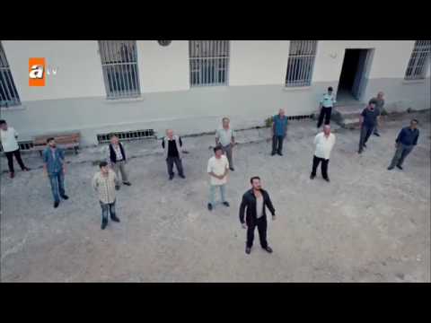 Kertenkele tirmanma sahnesi