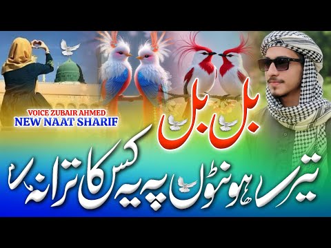 2026 Best Madina Naat Sharif - Very Heart Touching Naat - Bulbul Tere Honto Per Kiska Tarana hai