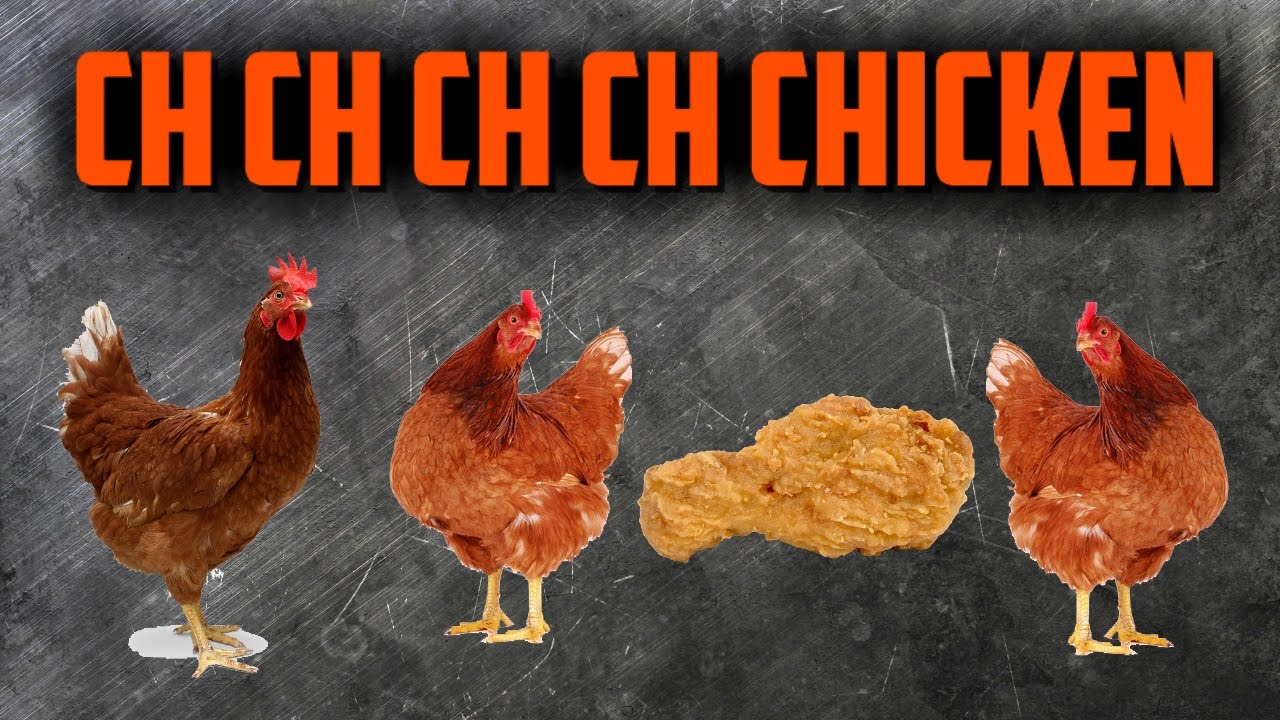 ch ch ch ch chicken - YouTube