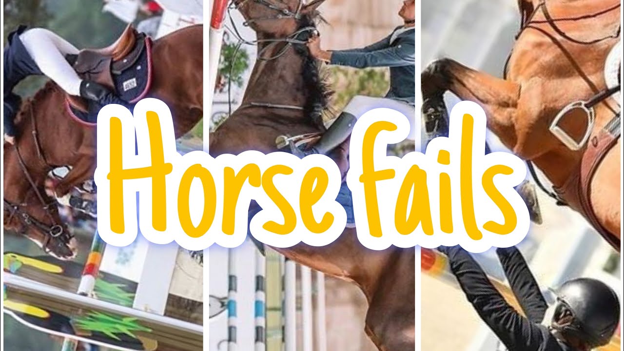 Horse fails and falls - YouTube