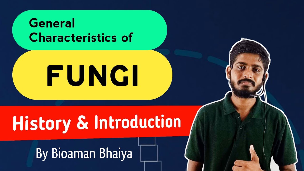 Characteristics Features Of Fungi | Fungi Kingdom | Lower Fungi, Higher ...