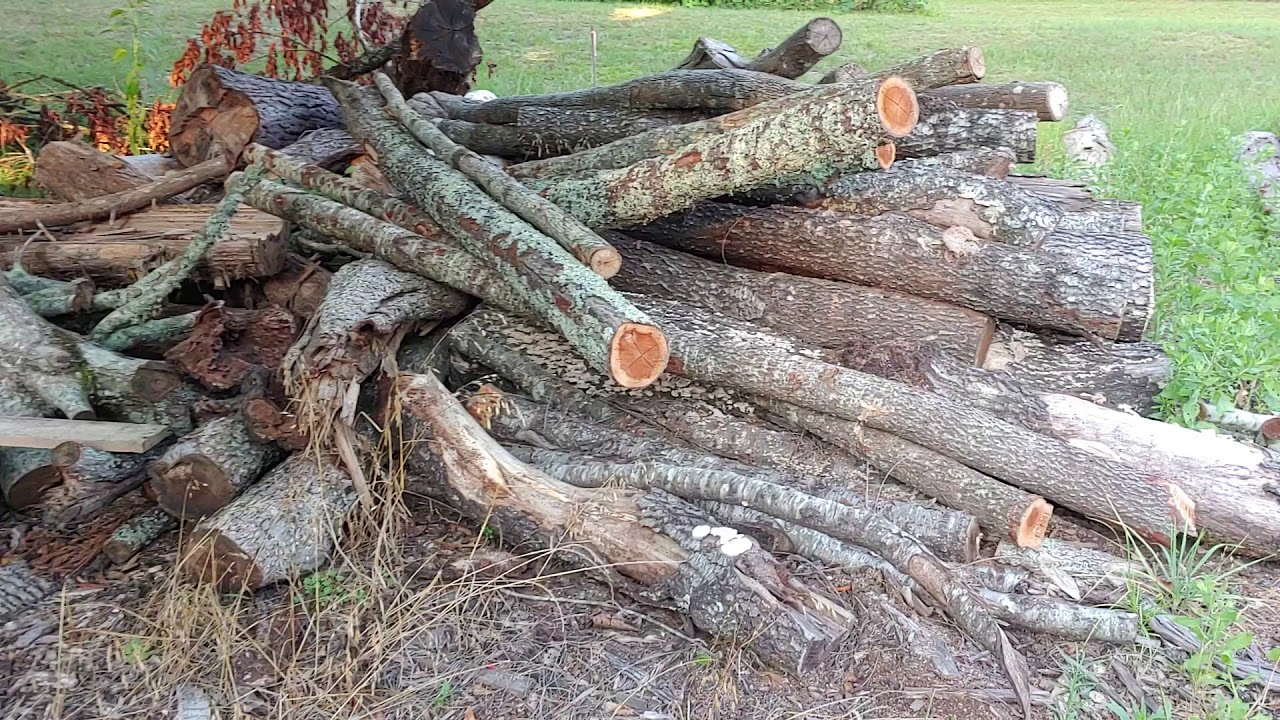 Wood inventory 7-5-20 - YouTube