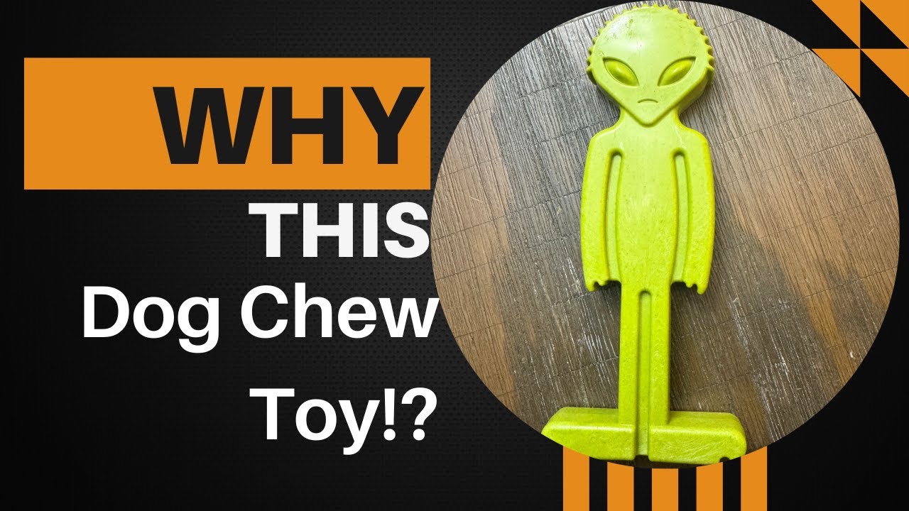 Review of Alien Bone Chew Toy for Aggressive Chewers - YouTube